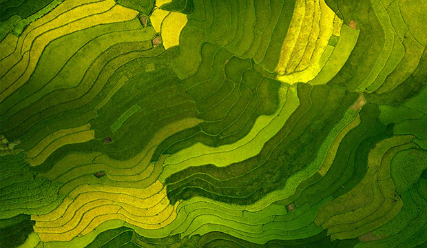 Fidelity Income Solutions | Income Funds｜Fidelity Singapore