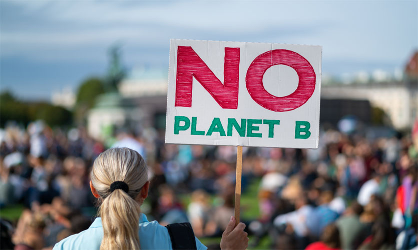 COP27: looking beyond commitment to action | Fidelity Singapore