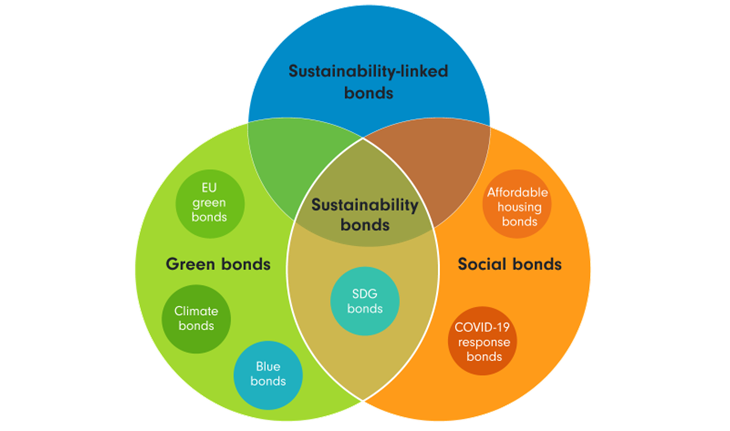 Finding the right tree in a forest: understanding different types of ...