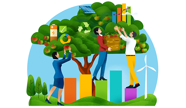 Finding the right tree in a forest: understanding different types of ...