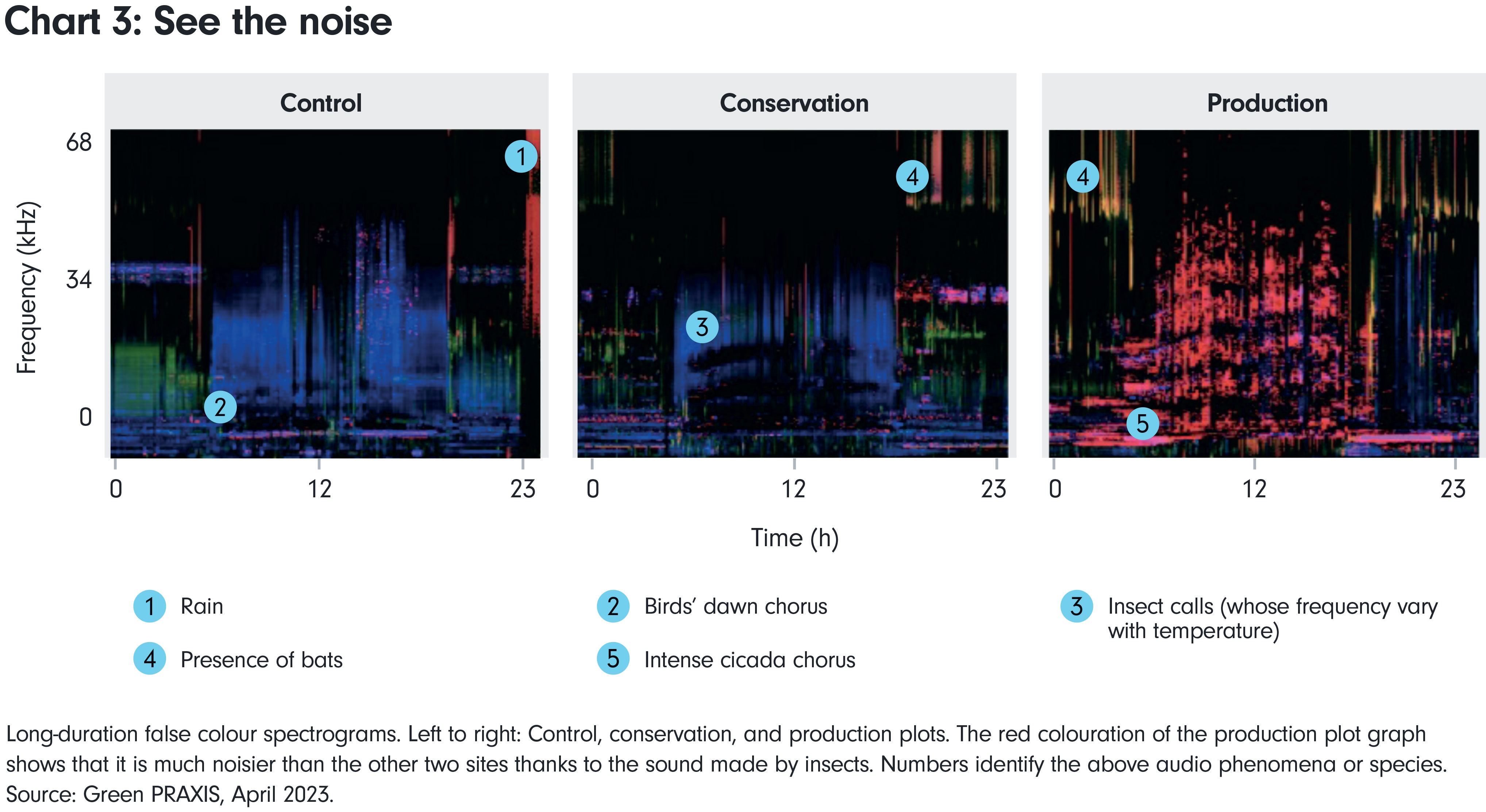 Wild for sound: how new research is plugging biodiversity’s data ...