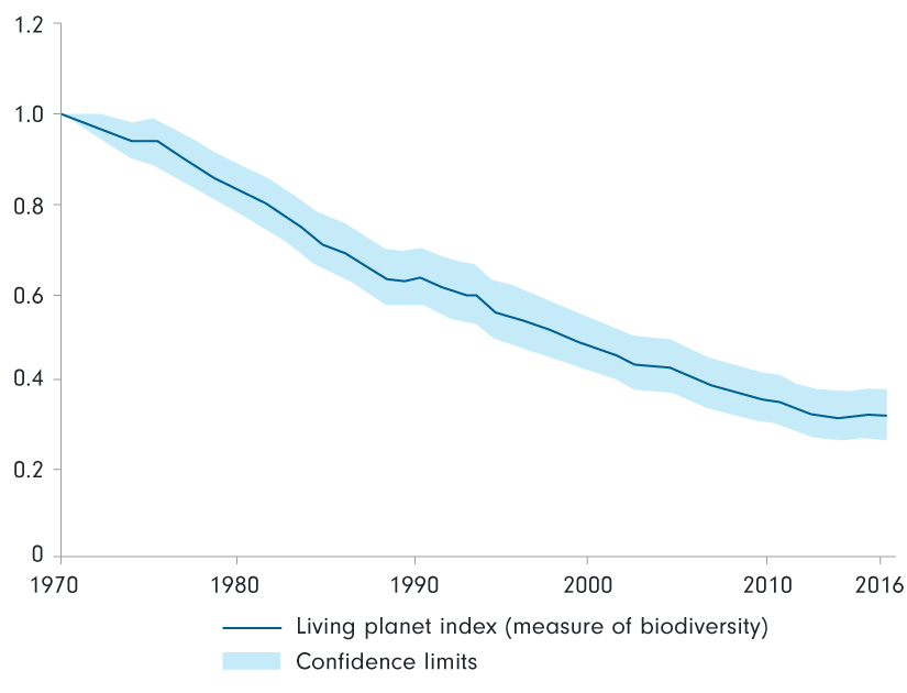 What investors need to know about biodiversity | Fidelity Singapore